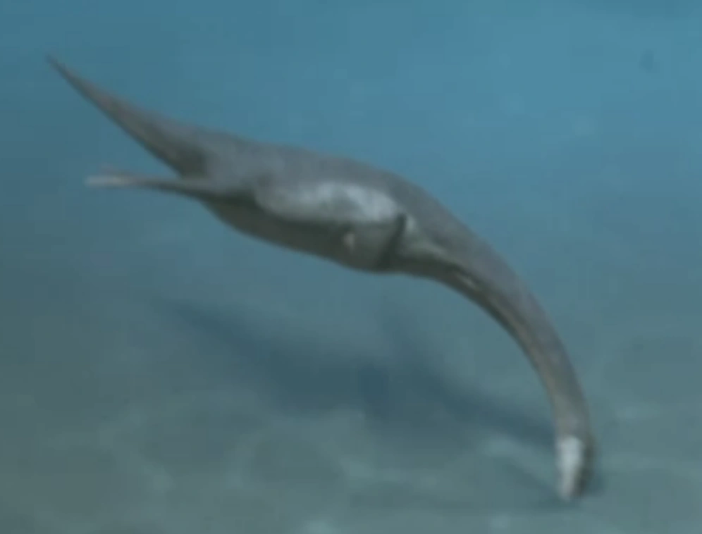 Kimmerosaurus | Prehistoric Monsters Wiki | Fandom