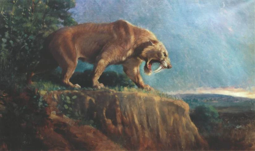 Smilodon | Prehistoric Monsters Wiki | Fandom