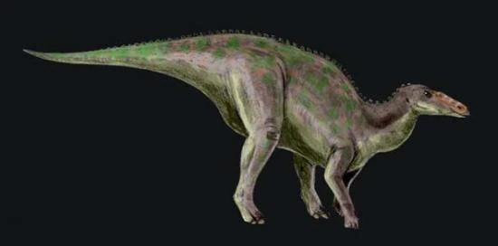 Anatosaurus | Prehistoric Monsters Wiki | Fandom