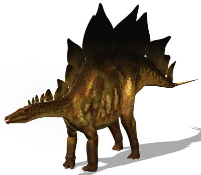 Stegosaurus | Prehistoric Monsters Wiki | Fandom