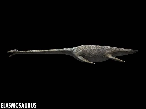 Elasmosaurus | Prehistoric Monsters Wiki | Fandom