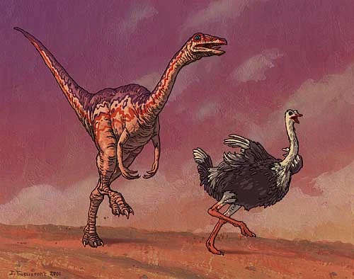 Ornithomimus | Prehistoric Monsters Wiki | Fandom