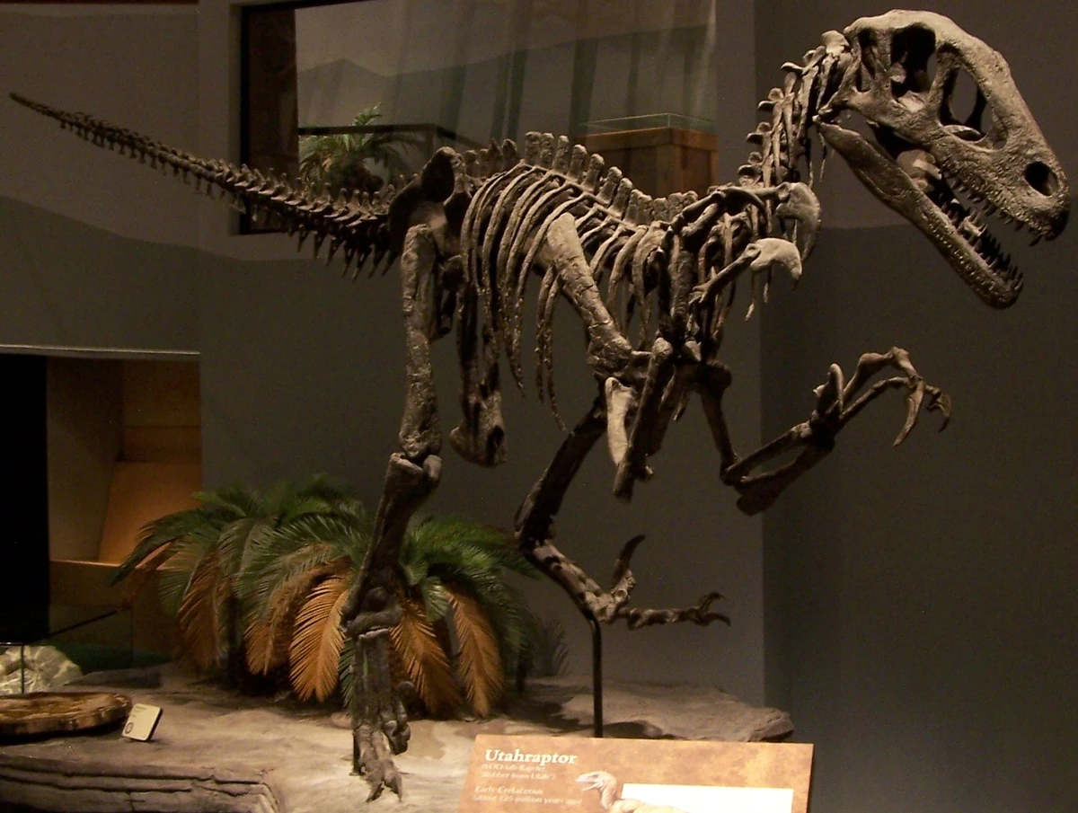 Raptors | Prehistoric Monsters Wiki | Fandom