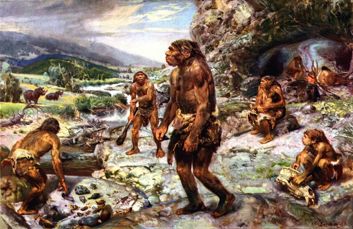 Neanderthal | Prehistoric Monsters Wiki | Fandom