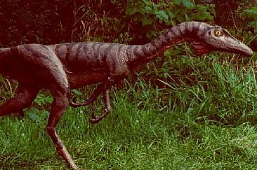Syntarsus (Coelophysis synynom) | Prehistoric Monsters Wiki | Fandom