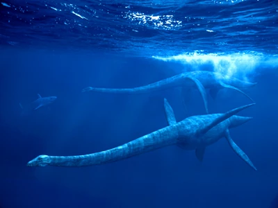 Elasmosaurus | Prehistoric Monsters Wiki | Fandom