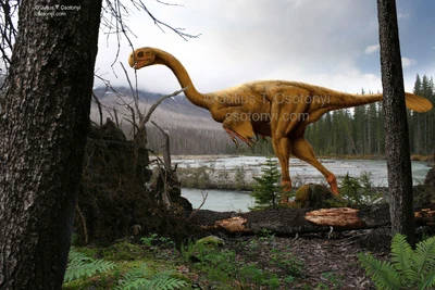 Gigantoraptor | Prehistoric Monsters Wiki | Fandom