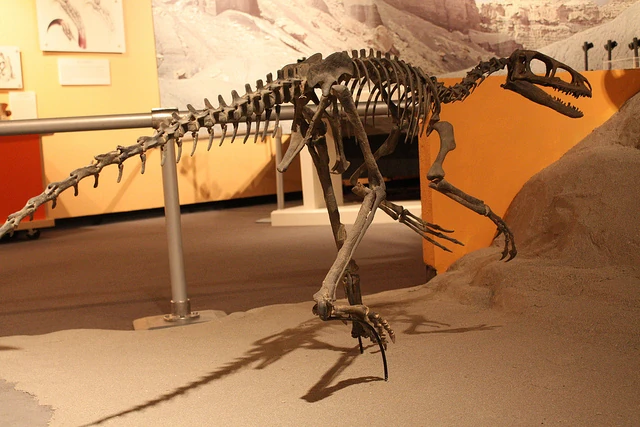 Coelurosaurs | Prehistoric Monsters Wiki | Fandom