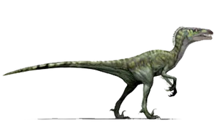 Dromaeosaurus | Prehistoric Monsters Wiki | Fandom