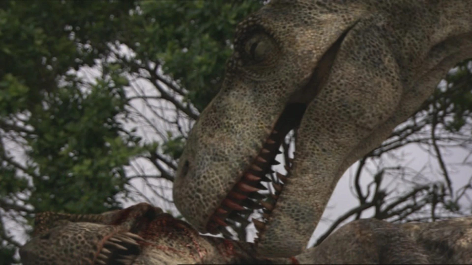 Prehistoric Park Creatures And Beasts