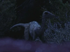 Troodon | Prehistoric Park Wiki | Fandom