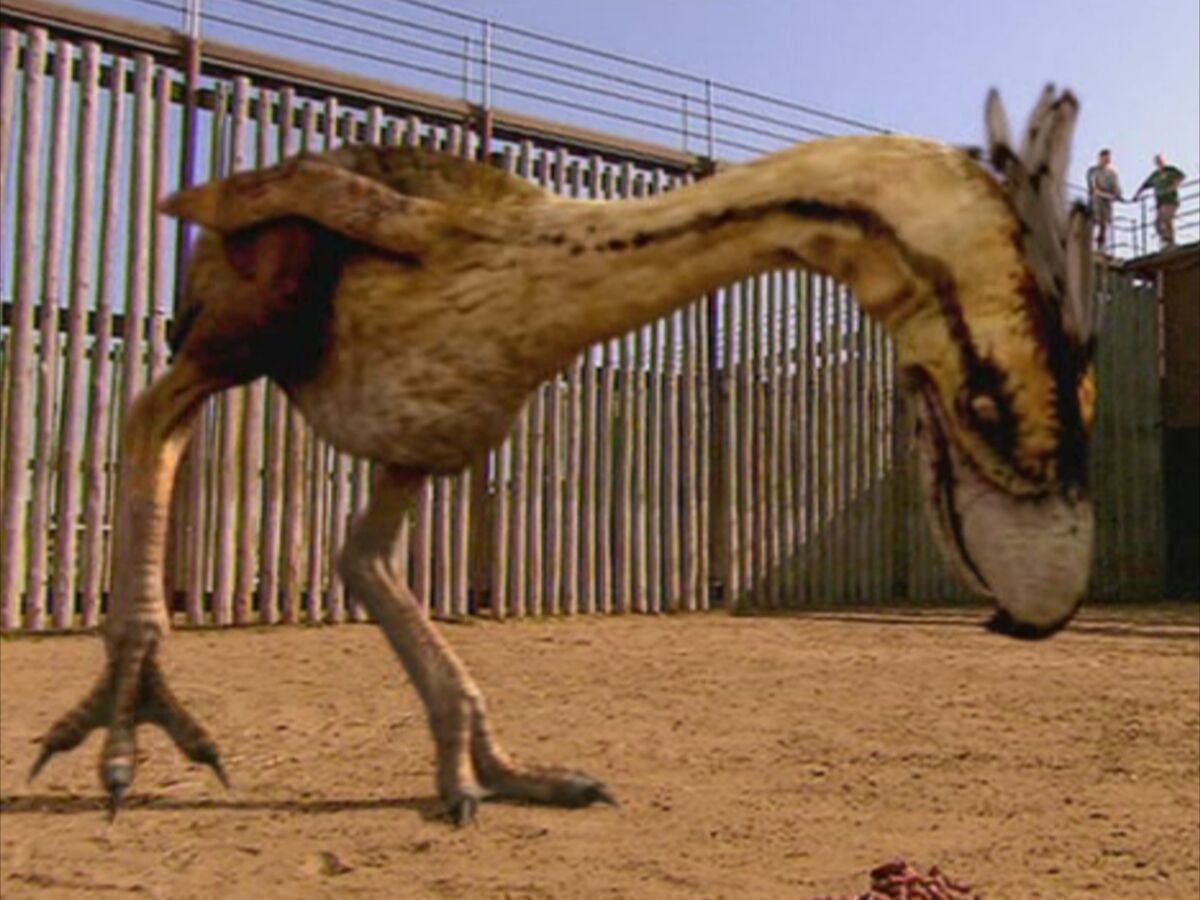 Terror Bird | Prehistoric Park Wiki | Fandom
