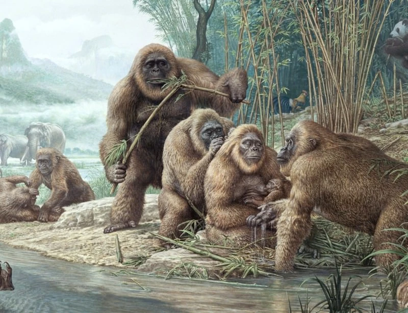 Prehistoric Park Episode 14: The Real Yeti | Prehistoric Park Fanon ...