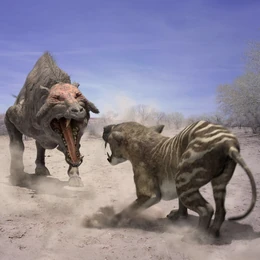 Hyaenodon | Prehistoric Park Fanon Wiki | Fandom