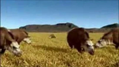 Toxodon | Prehistoric Park Fanon Wiki | Fandom