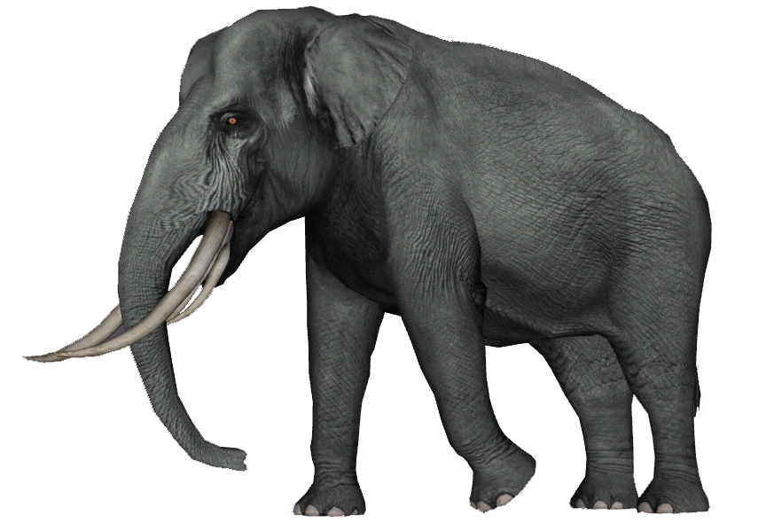 Sinomastodon | PrehistoricPokemon Wiki | Fandom