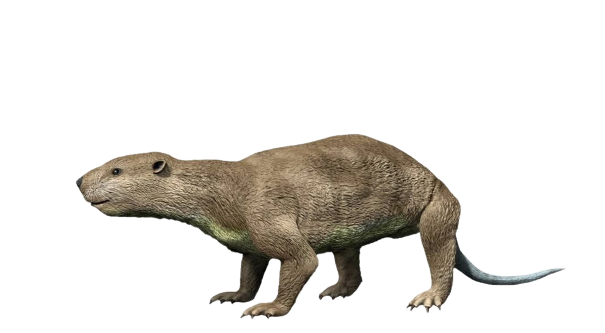 Didelphodon | PrehistoricPokemon Wiki | Fandom