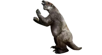 Megatherium | PrehistoricPokemon Wiki | Fandom
