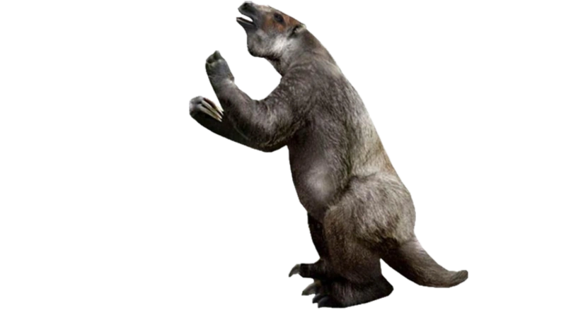 Megatherium | PrehistoricPokemon Wiki | Fandom