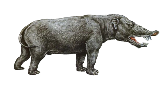 Pyrotherium | PrehistoricPokemon Wiki | Fandom