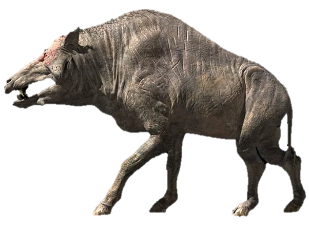Entelodon | PrehistoricPokemon Wiki | Fandom