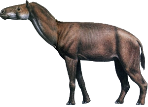 Phenacodus | PrehistoricPokemon Wiki | Fandom