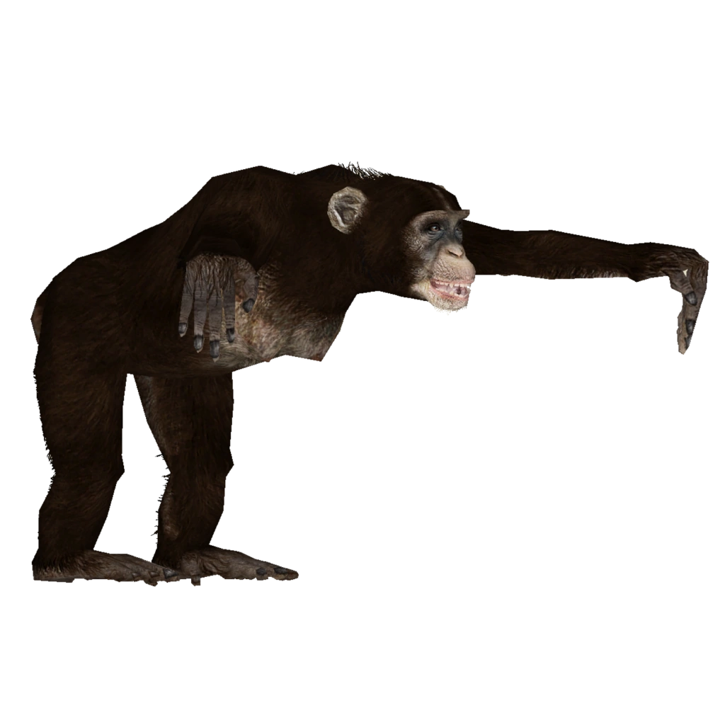 Australopithecus | PrehistoricPokemon Wiki | Fandom