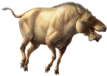 Daeodon | PrehistoricPokemon Wiki | Fandom