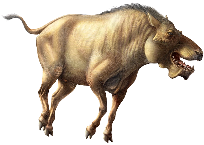 Daeodon | PrehistoricPokemon Wiki | Fandom