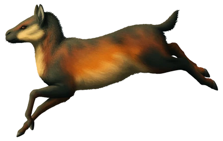 Protoceras | PrehistoricPokemon Wiki | Fandom