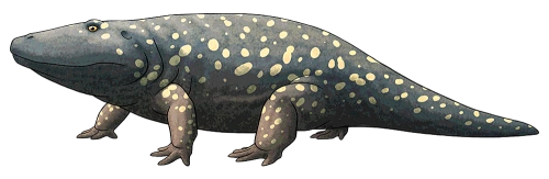 Eryops | PrehistoricPokemon Wiki | Fandom