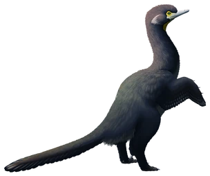 Microraptor | PrehistoricPokemon Wiki | Fandom