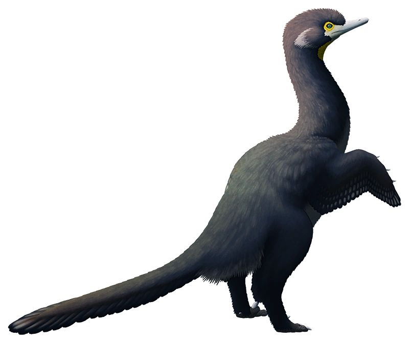 Microraptor | PrehistoricPokemon Wiki | Fandom