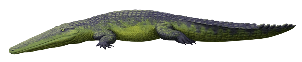 Parasuchus | PrehistoricPokemon Wiki | Fandom