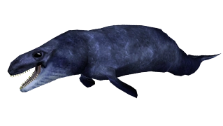 Mammalodon | PrehistoricPokemon Wiki | Fandom