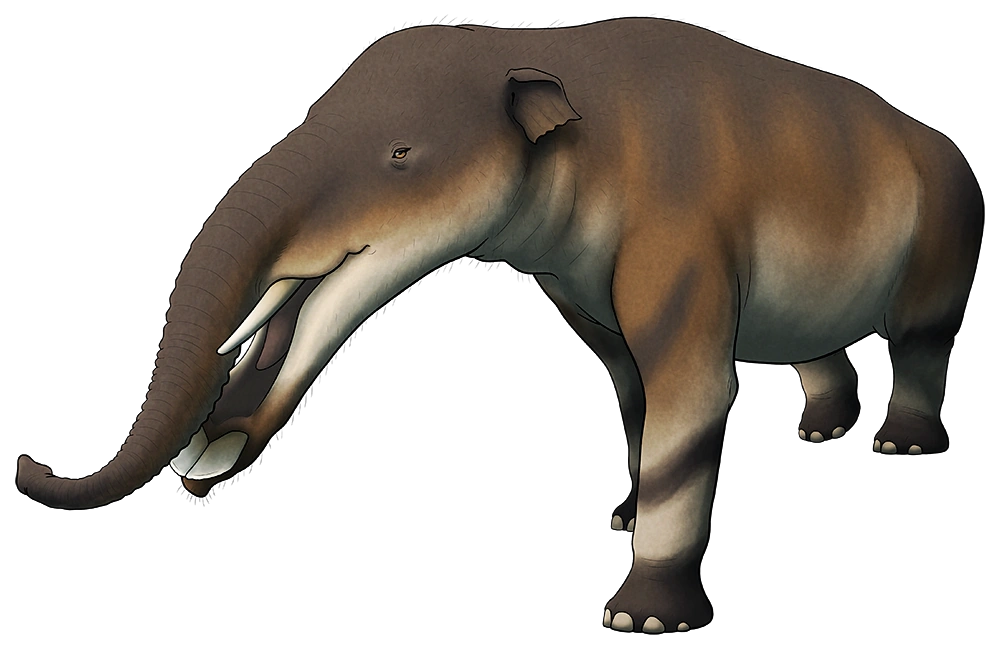 Platybelodon | PrehistoricPokemon Wiki | Fandom