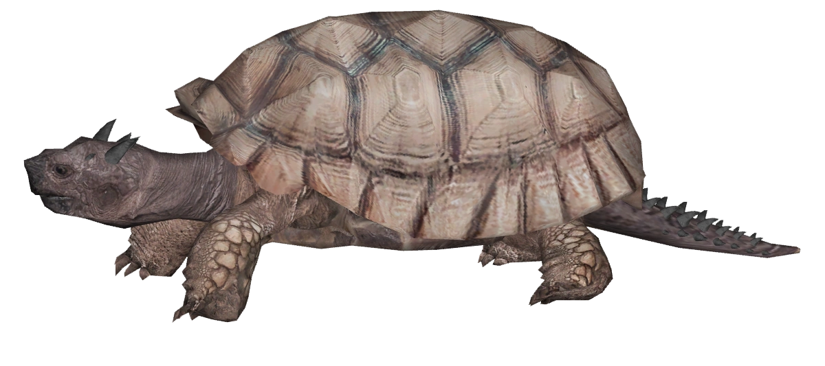 Meiolania | PrehistoricPokemon Wiki | Fandom