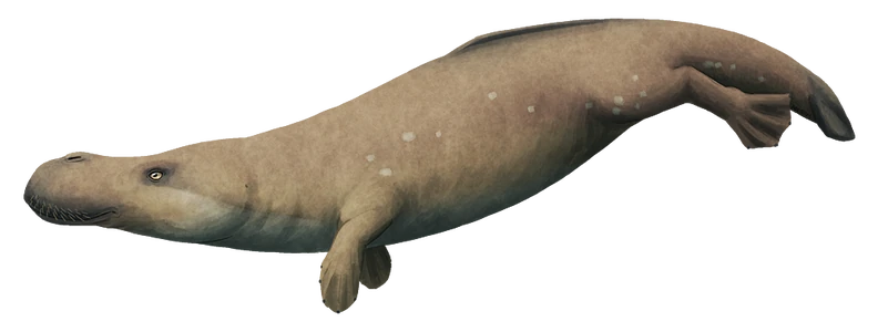 Pezosiren | PrehistoricPokemon Wiki | Fandom