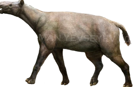 Juxia | PrehistoricPokemon Wiki | Fandom