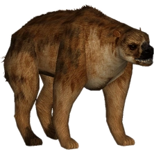 Dinocrocuta | PrehistoricPokemon Wiki | Fandom