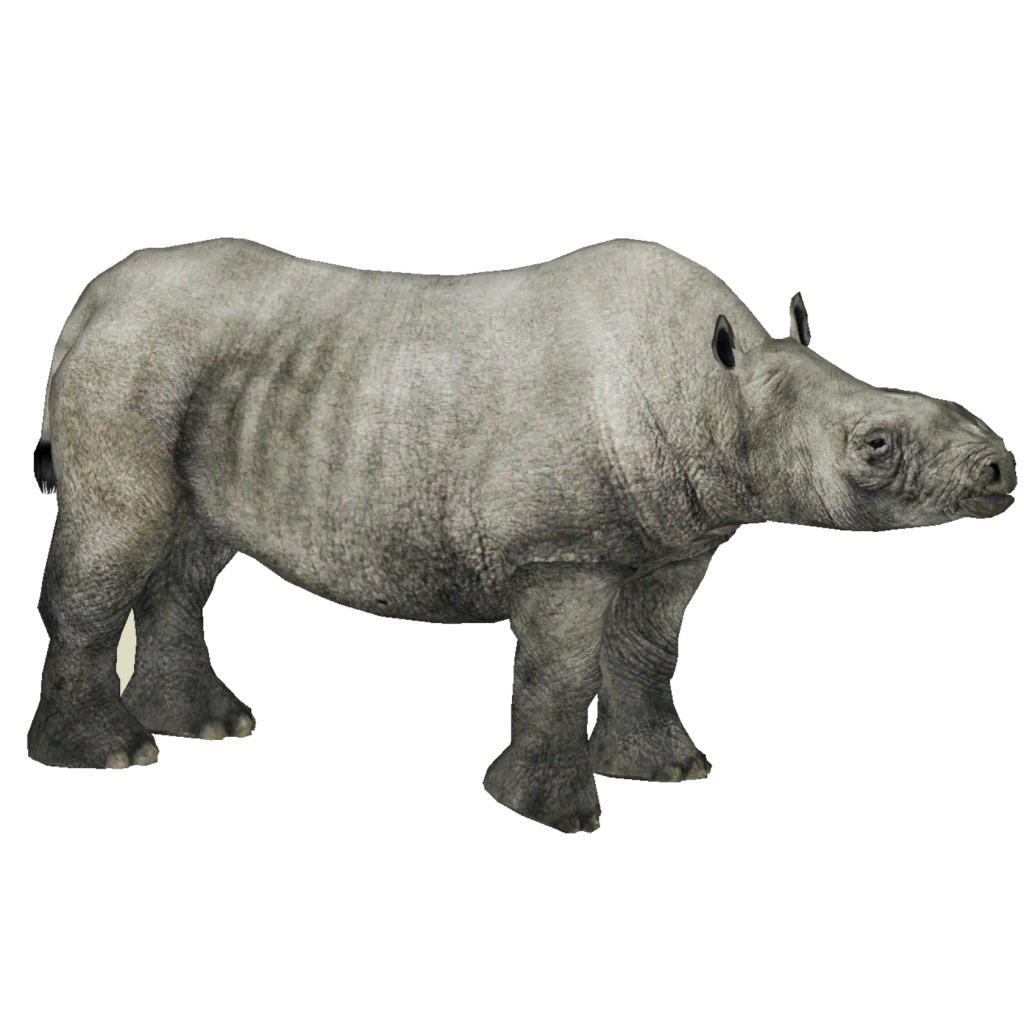 Aceratherium | PrehistoricPokemon Wiki | Fandom