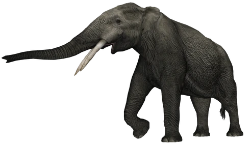 Primelephas | PrehistoricPokemon Wiki | Fandom