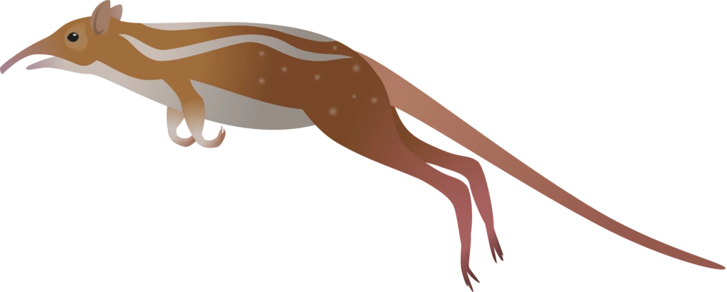 Leptictidium | PrehistoricPokemon Wiki | Fandom