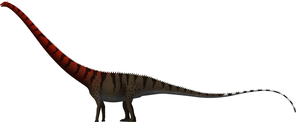 Barosaurus | PrehistoricPokemon Wiki | Fandom