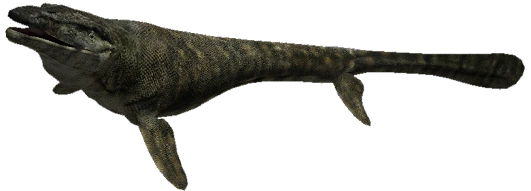 Mosasaurus | PrehistoricPokemon Wiki | Fandom