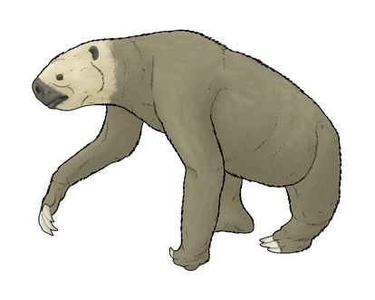 Megalonyx | PrehistoricPokemon Wiki | Fandom