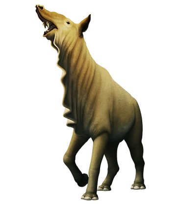 Xenorhinotherium | PrehistoricPokemon Wiki | Fandom