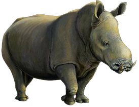 Chilotherium | PrehistoricPokemon Wiki | Fandom