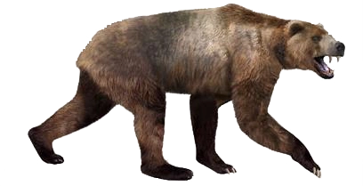 Arctodus | PrehistoricPokemon Wiki | Fandom