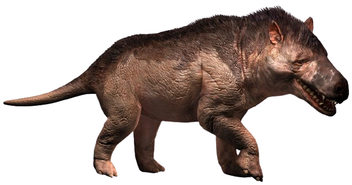 Andrewsarchus | PrehistoricPokemon Wiki | Fandom